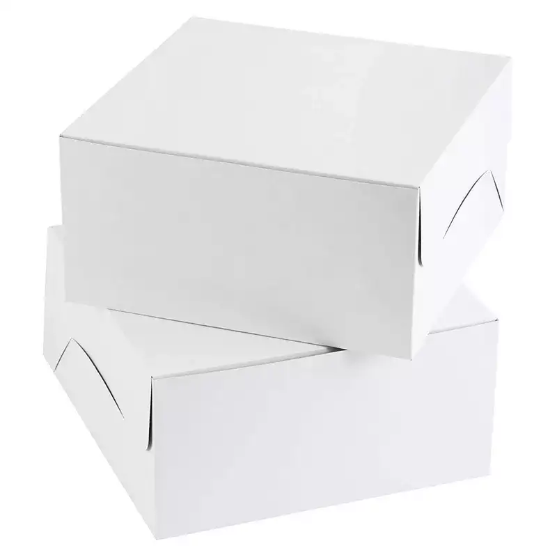 CAKE BOX 20CM*20CM SHOP USE